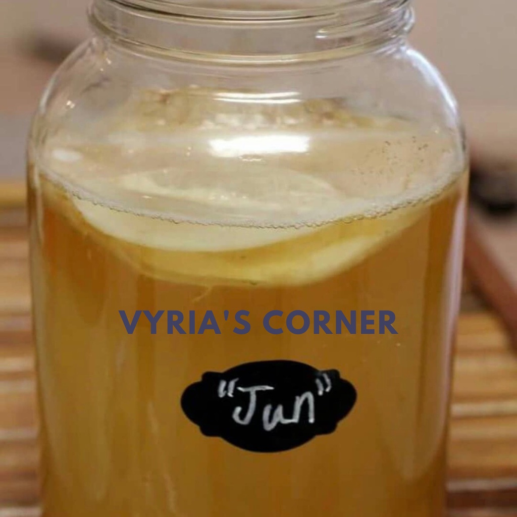 Jun kombucha - con giống làm trà xanh lên men mật ong có hướng dẫn nuôi ...