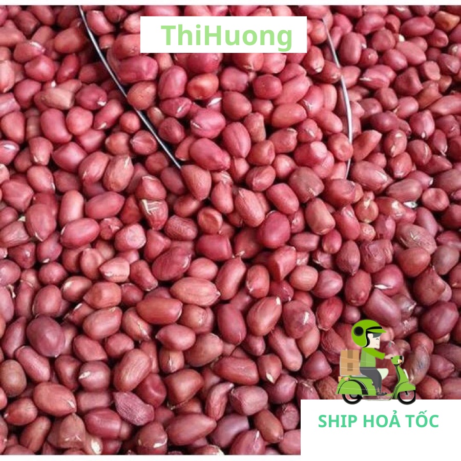 Lạc quê (đậu phộng) hạt đều, mẩy | Shopee Việt Nam