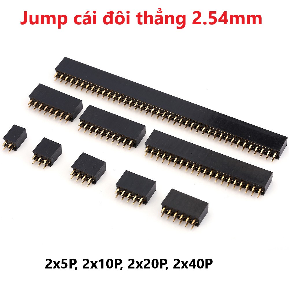 Jump cái đôi thẳng 2.54mm 2x5P, 2x10P, 2x20P, 2x40P | Shopee Việt Nam