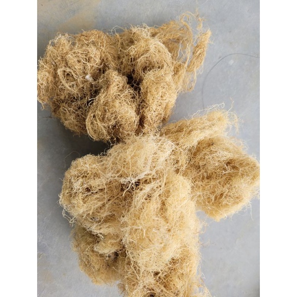 Rong xu xoa | Shopee Việt Nam