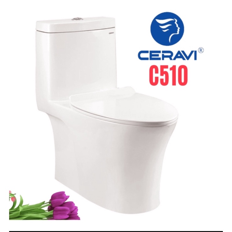 NẮP ĐẬY BỒN CẦU CERAVI ( Nắp đóng êm nhập khẩu tháo ráp nhanh) | Shopee ...