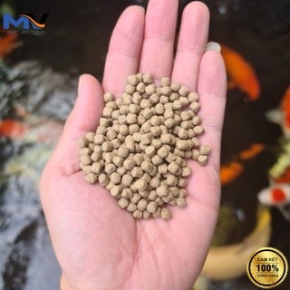 Cám Cá Koi King Feed 5kg Siêu Tăng Trưởng 42% Đạm, Không Váng Dầu, Body ...