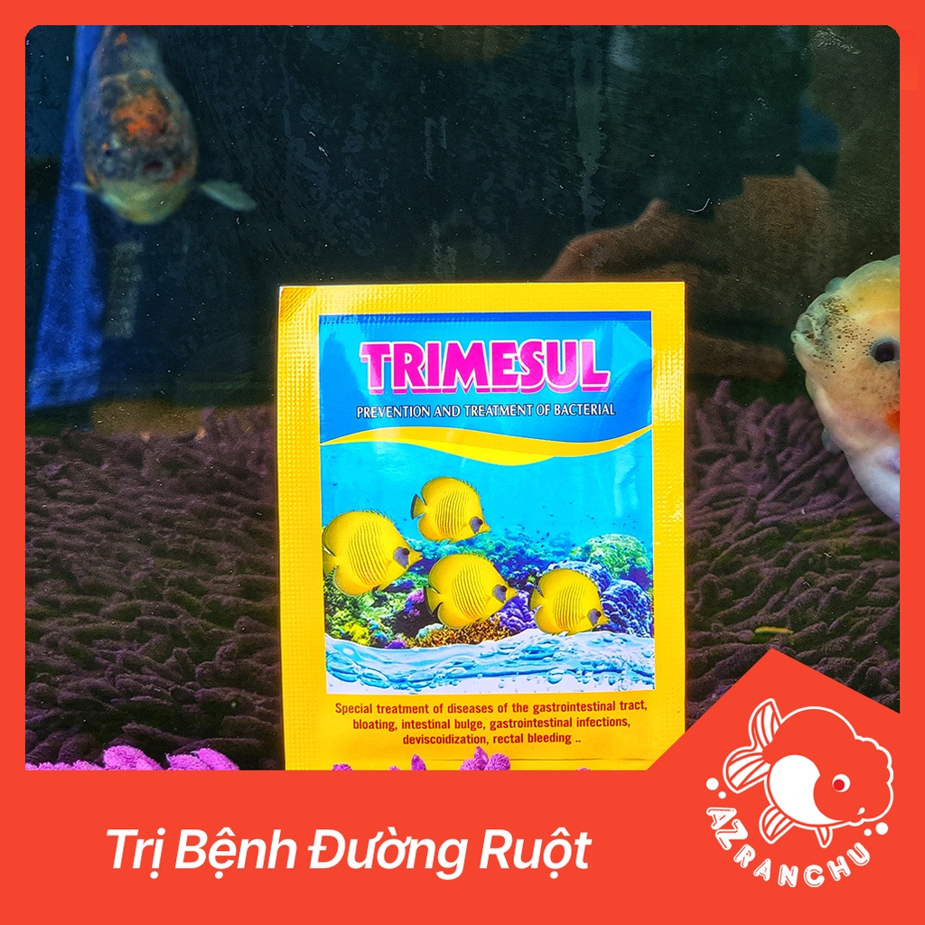 Trimesul | Hỗ trợ các bệnh đường tiêu hoá ở cá - AZRanchu | Shopee Việt Nam