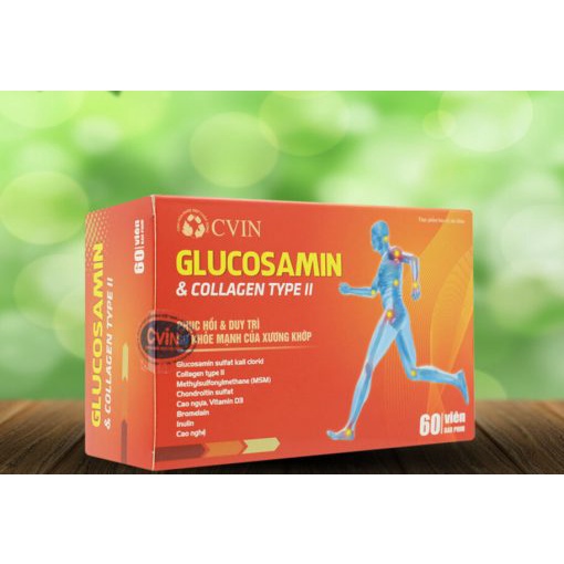 CVIN Glucosamin & Collagen Type II duy trì sự chắc khỏe, cứng cáp của ...
