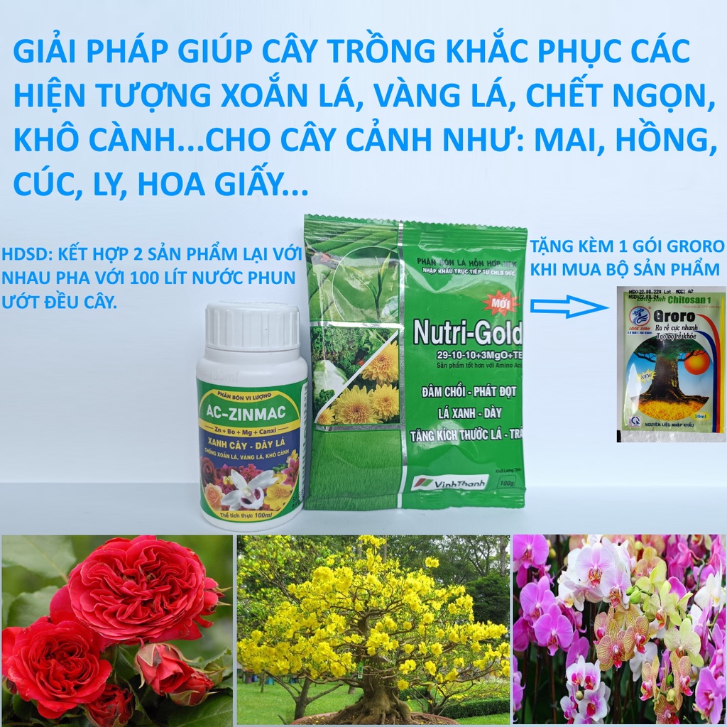 GIẢI PHÁP KHẮC PHỤC CÁC HIỆN TƯỢNG VÀNG LÁ, CHẾT NGỌN, KHÔ CÀNH...TRÊN ...