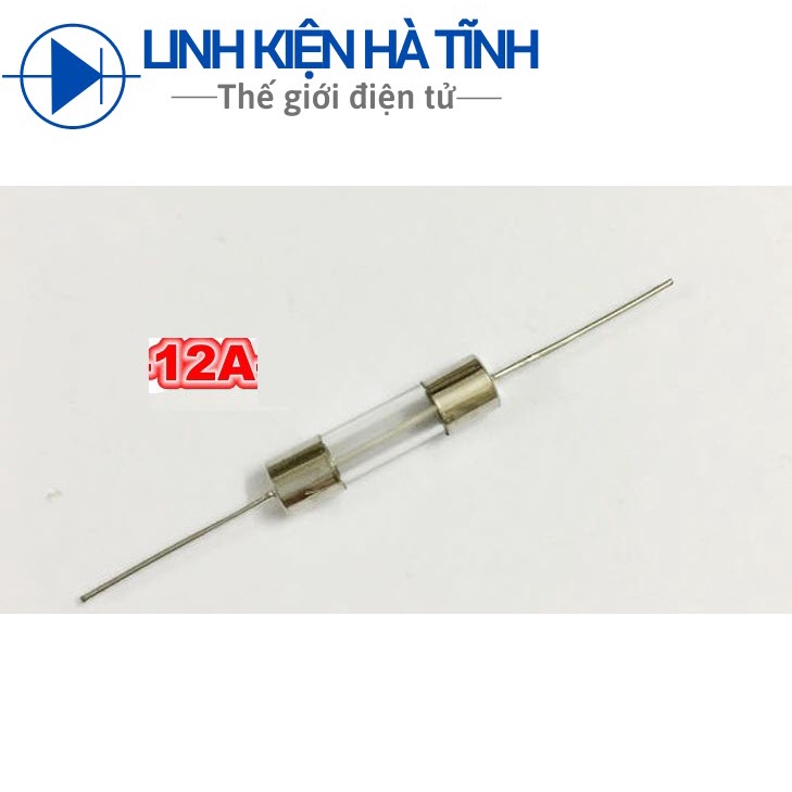 30 con Cầu chì chân cắm 5x20mm 12A 250V cầu chì bếp từ 12a | Shopee ...