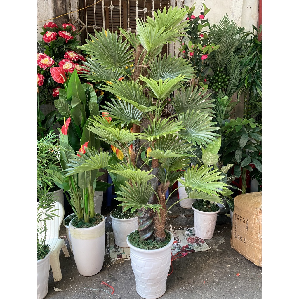 [FREESHIP] Cây giả decor cây cọ cao 1m7 trang trí nhà cửa bền đẹp (Hà ...