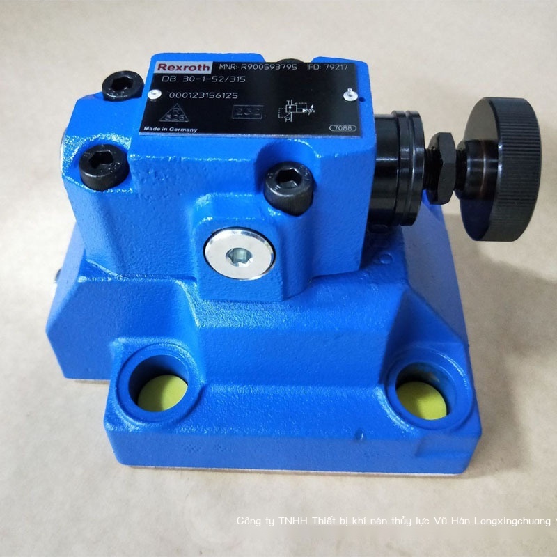 Van tràn thí điểm Rexroth DB10-1-5X 315 an toàn giảm áp | Shopee Việt Nam
