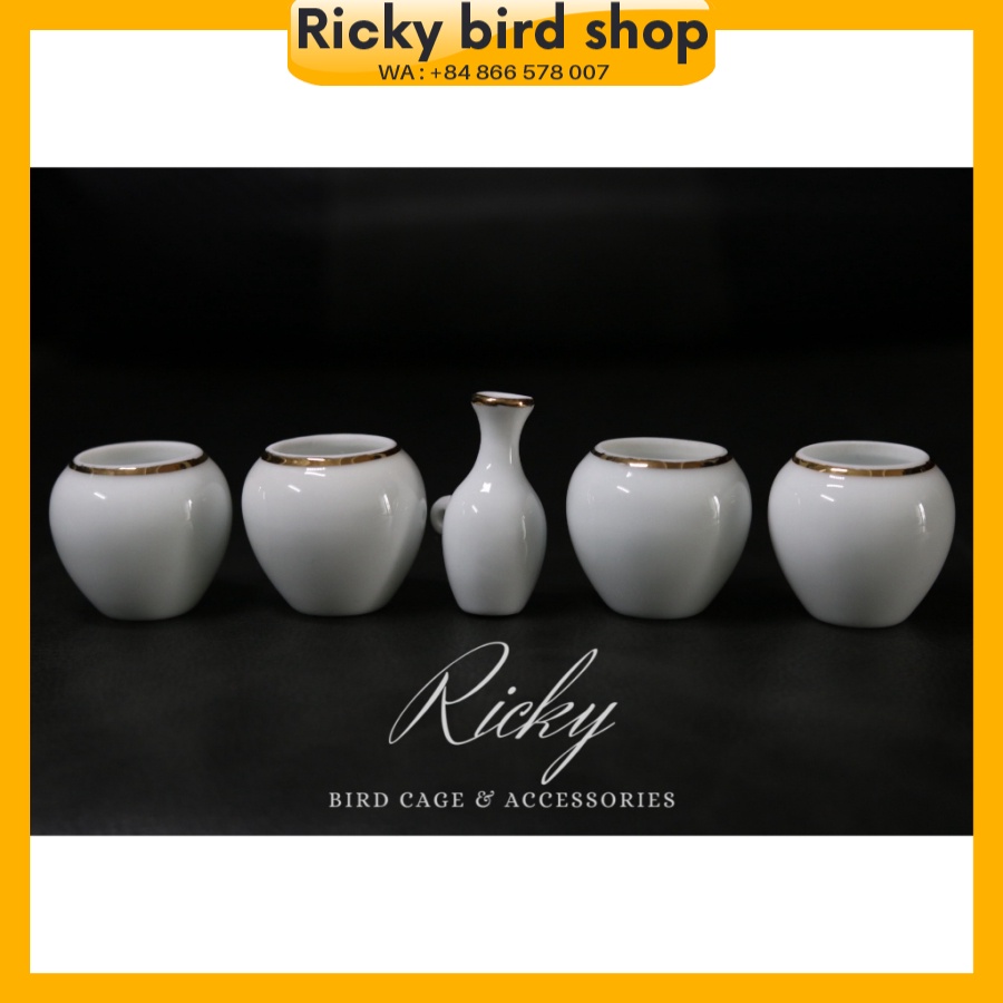 Cóng chim khuyên đẹp Ricky, cóng khuyên bạch viền vàng kim bộ 5 cái đã ...