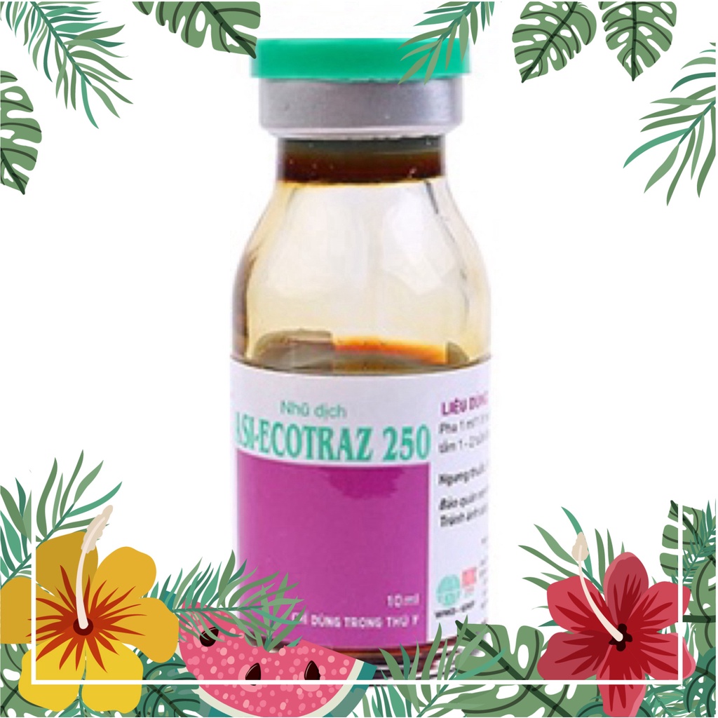 ASI-ECOTRAZ — thuốc PHA TẮM TRỊ VE CHO CHÓ MÈO 10ML | Shopee Việt Nam