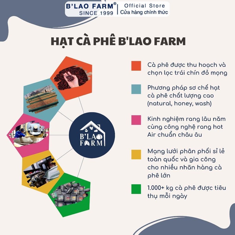 Cà phê nguyên chất CULI peaberry 100% rang mộc loại cao cấp B'Lao Farm ...