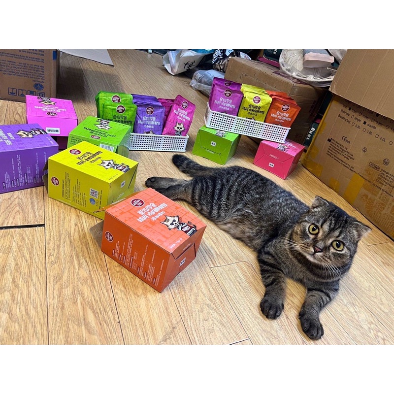 Pate Wanpy Happy 100 gói 70gr- Pate Cho Mèo Gồm 6 Vị Có Sợi Thịt Bên ...