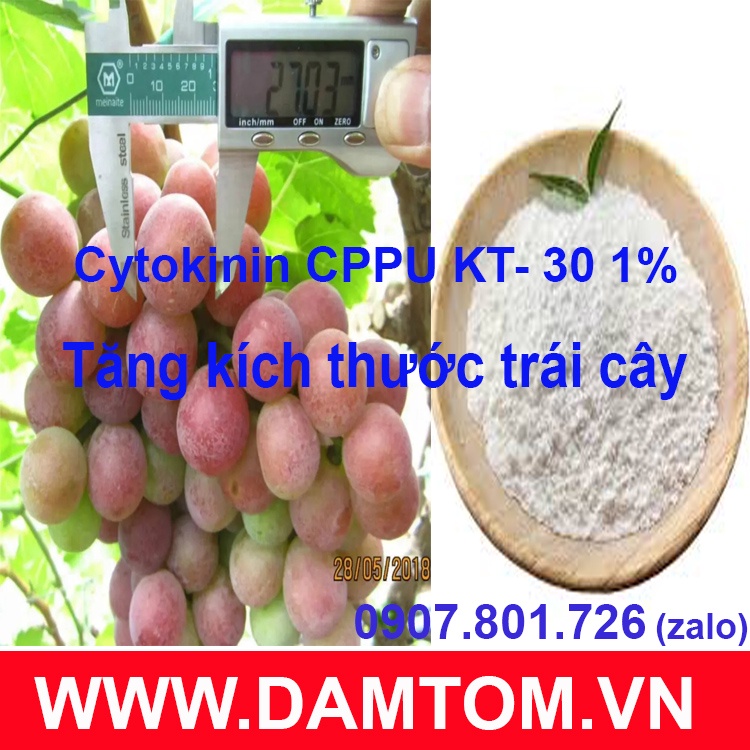 Cytokinin CPPU KT-30 1% - Tăng kích thước trái cây - Forchlorfenuron (gói 100 gram) | Shopee ...