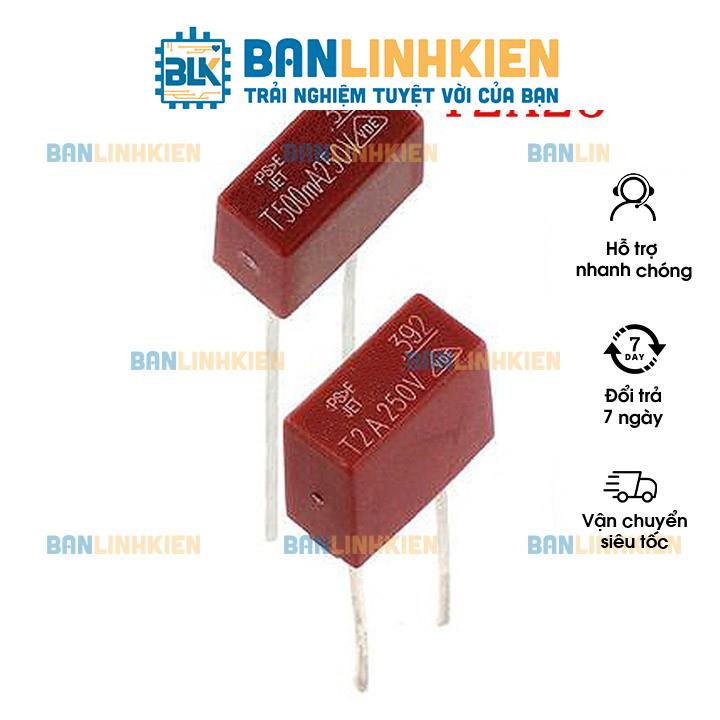 Cầu Chì 2A 250V T2A250V Loại Vuông | Shopee Việt Nam