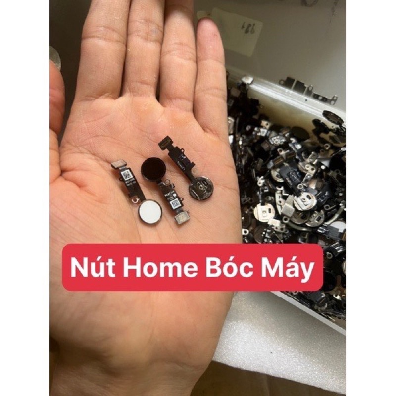 Nút Home Bóc máy thay thế điện thoại 5S , 6G , 6P , 6S , 6SP , 7P , 8P ...