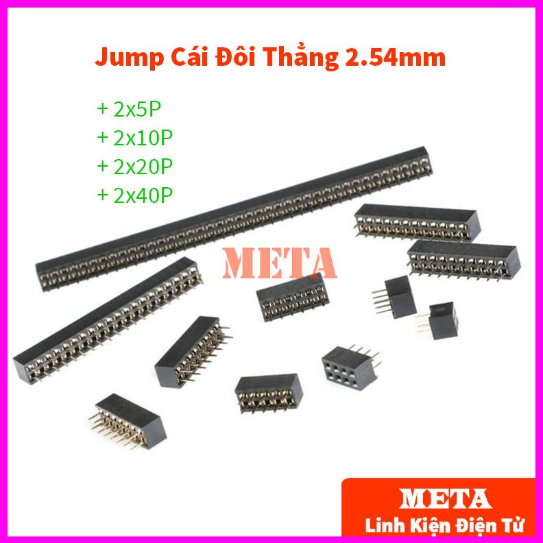 Jump cái đôi thẳng 2.54mm 2x5P, 2x10P, 2x20P, 2x40P | Shopee Việt Nam