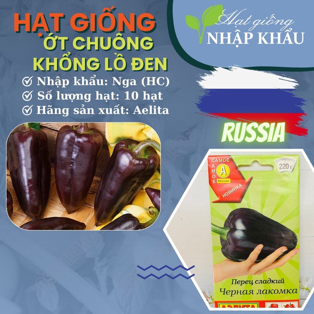 Hạt giống ớt chuông khổng lồ đen. Xuất xứ: Nga. 10 hạt/gói | Shopee ...