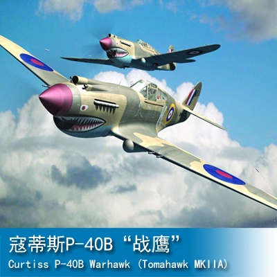3 Trumpeter 1 / 48 Curtis P-40B "Warhawk" 02807 Gửi Bạn Bè Quà Tặng ...