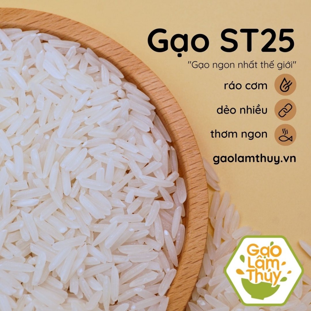 ST25 (ST25 đông xuân 2024 - mới) | Shopee Việt Nam