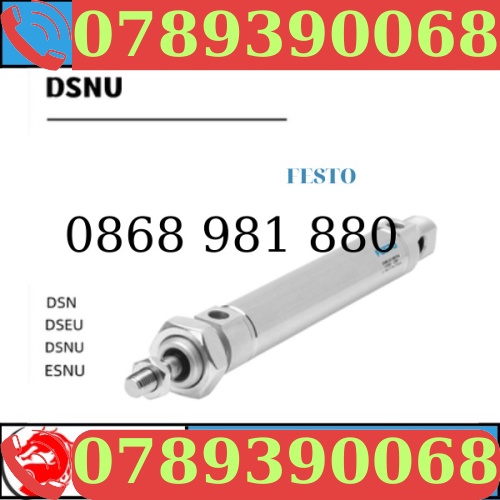 Xi lanh Festo DSNU-20-25-P-A 19208 | Shopee Việt Nam