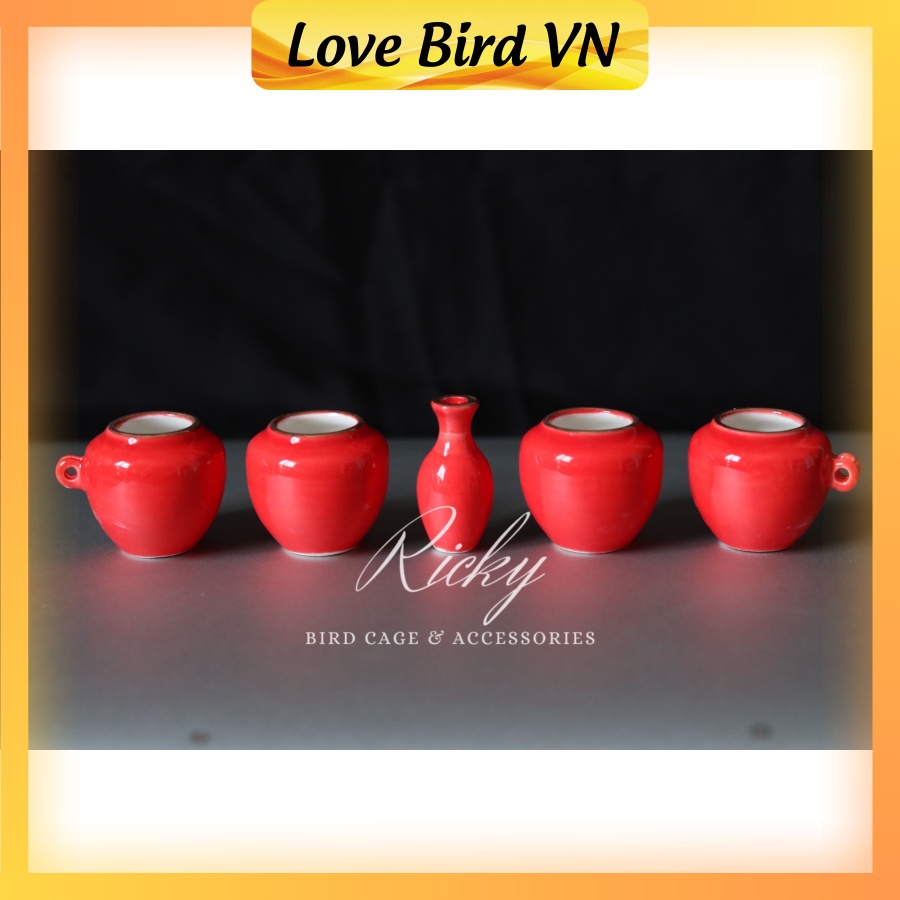 Cóng chim khuyên đẹp Ricky, cóng khuyên viền vàng kim bộ 5 cái đã kèm ...