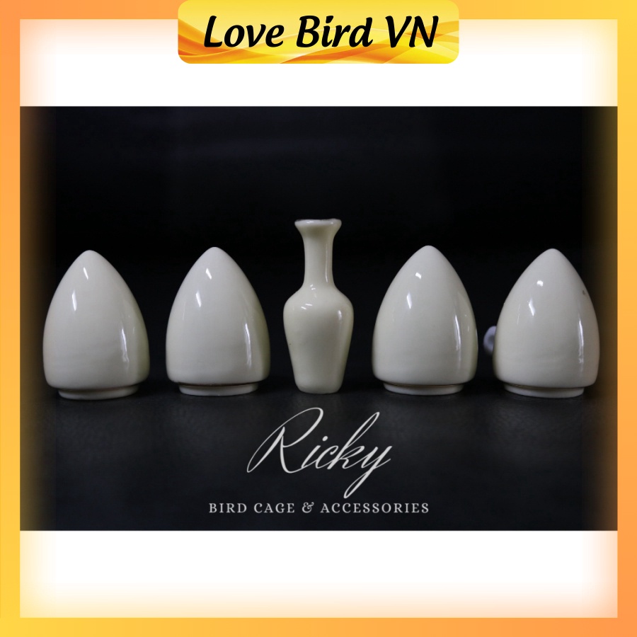 Cóng chim khuyên đẹp Ricky, cóng khuyên ngà viền vàng kim bộ 5 cái đã ...