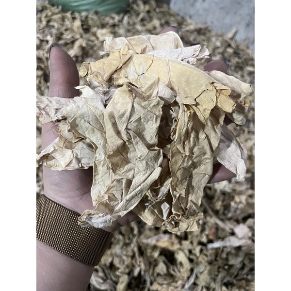 Lá hen khô 1KG (Cây bồng bồng) | Shopee Việt Nam