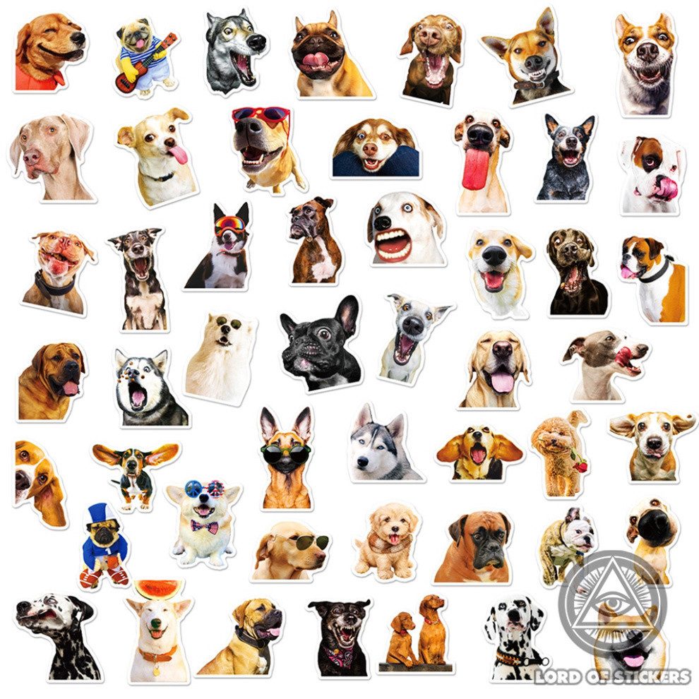 Set 50 Hình Dán Sticker Meme Chó Cute Hài Hước Chống Thấm Nước Trang ...