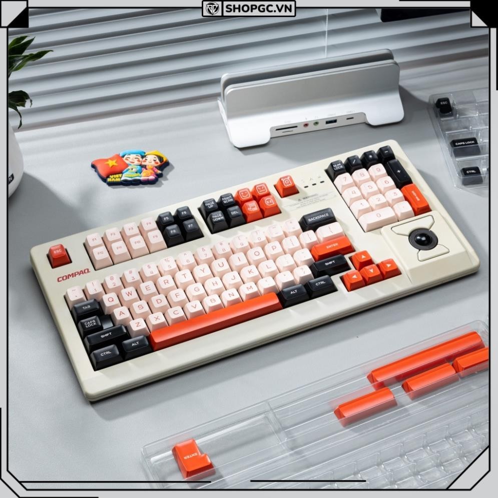 Keycap SA AIFEI FLAMINGO | QXA Profile | ABS Double-shot | 160+ nút ...