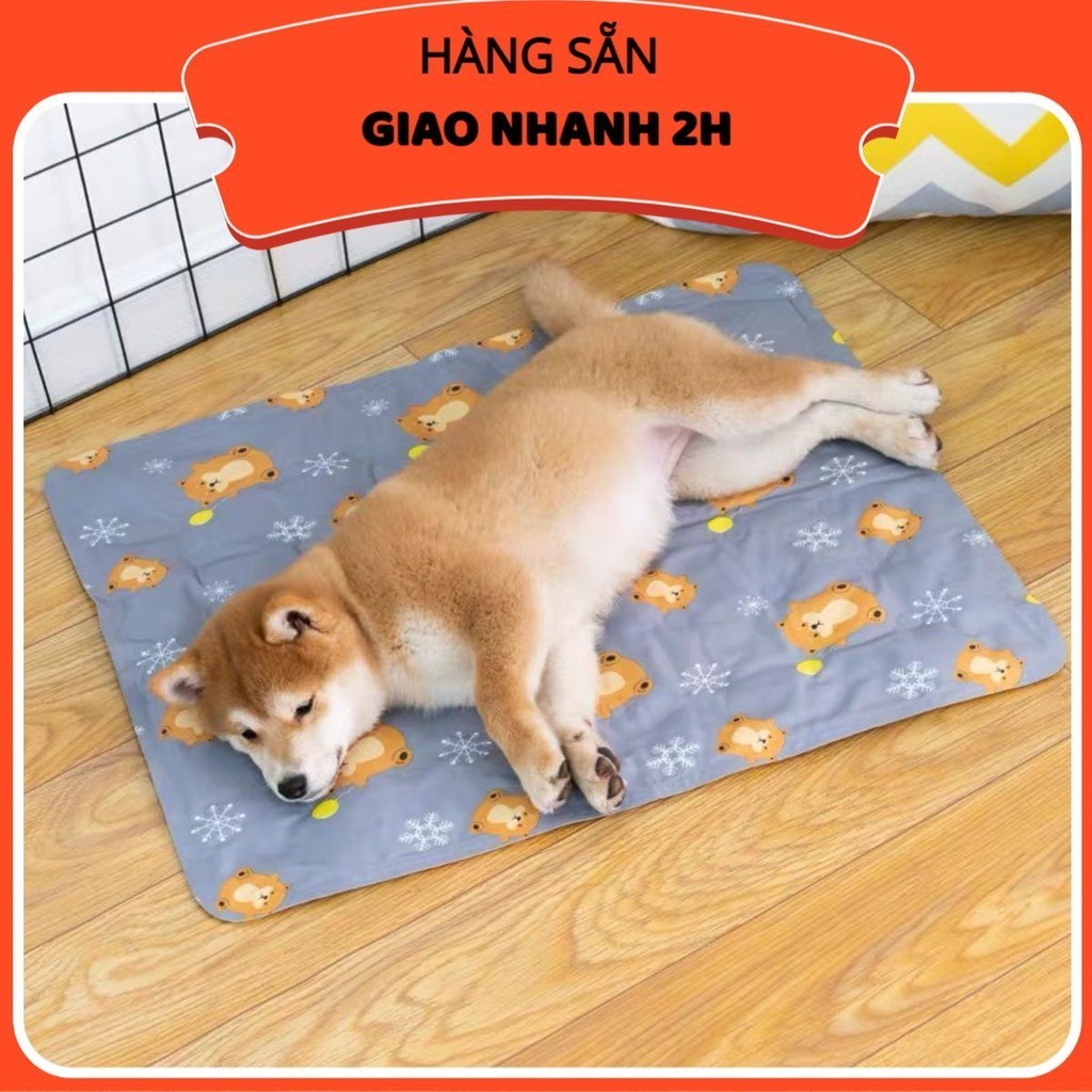 [ HÀNG SẴN - GIAO NHANH 2H ] Đệm gel nước làm mát cho chó mèo cao cấp ...