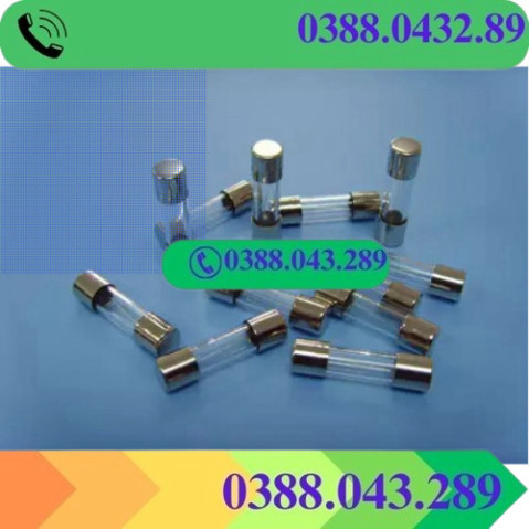 Cầu Chì Ống Thủy Tinh T10A 5*20 T10A/250V | Shopee Việt Nam
