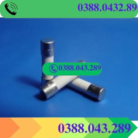 Cầu Chì Sứ T10A 250V 5*20 | Shopee Việt Nam