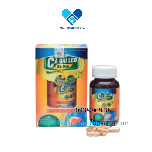 Giải độc gan Cà Gai Leo Chai- Châu Ngân Pharma | Shopee Việt Nam