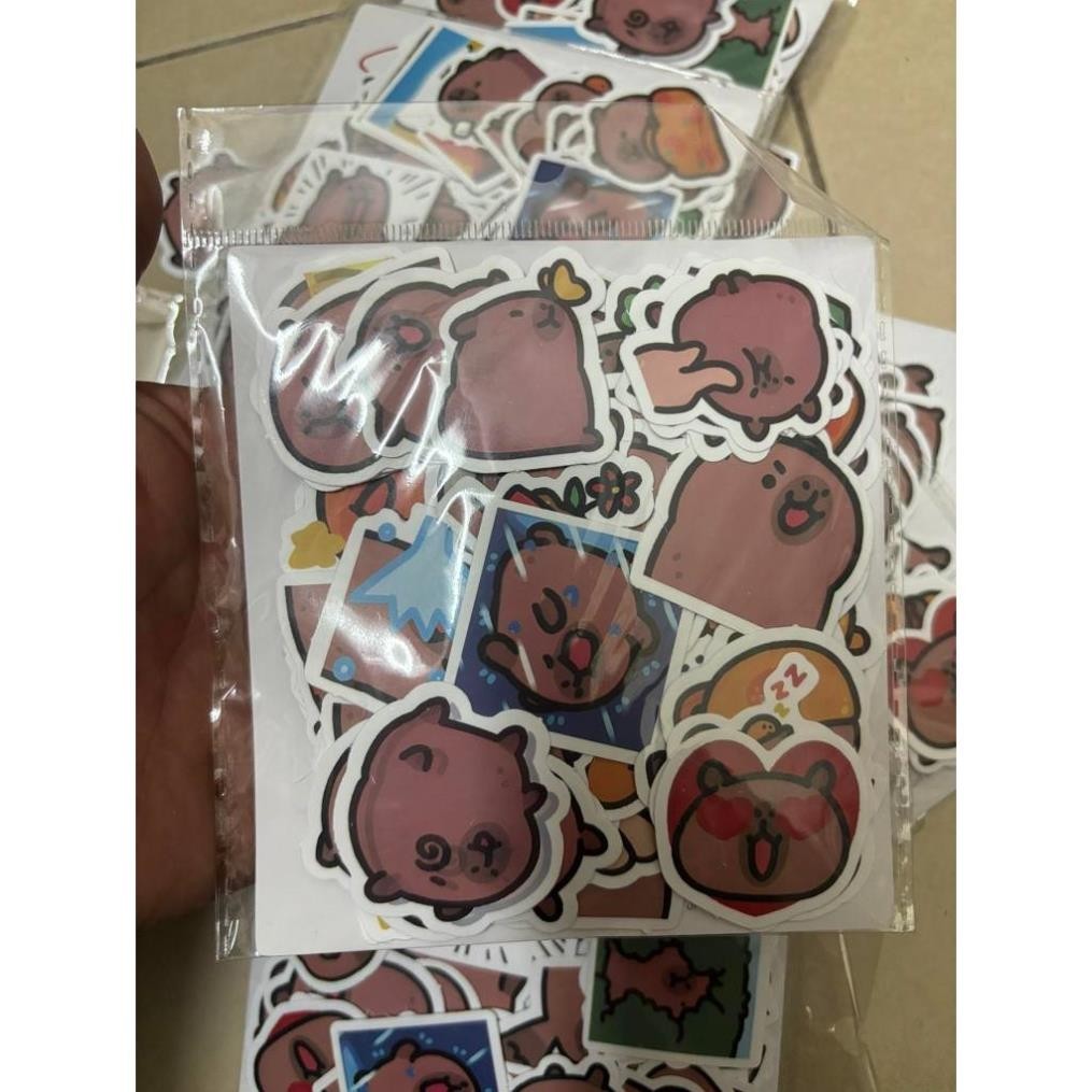 Set 100 sticker Capybara | Shopee Việt Nam