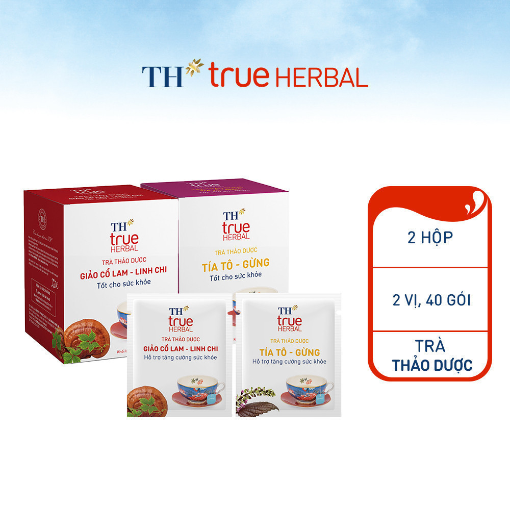 Combo 2 hộp trà thảo dược TH true HERBAL Giảo cổ lam – Linh chi & trà ...