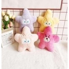 [HOẢ TỐC-HCM] Gấu Bông Ngôi Sao - JISO HOUSE | Shopee Việt Nam