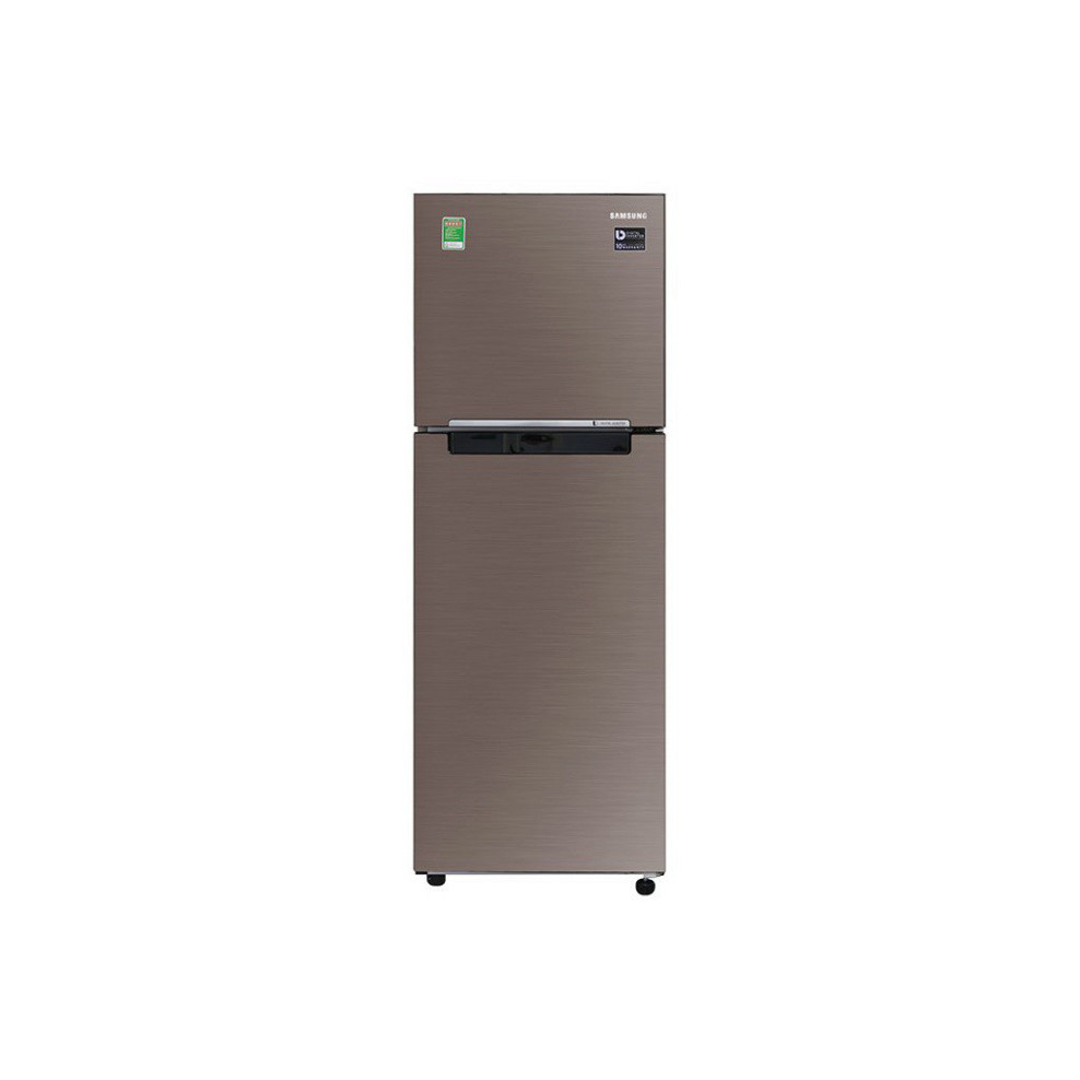 Tủ lạnh Samsung 243 Lít 2 cánh Inverter RT22M4040DX/SV chính hãng 100% ...