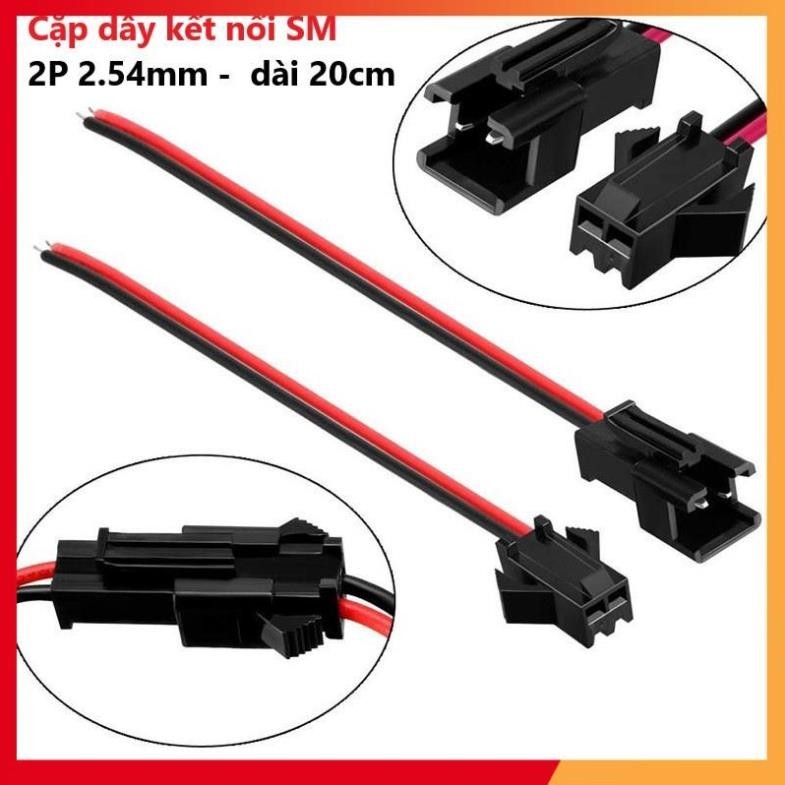 Cặp dây kết nối SM 2P 2.54mm - Tổng chiều dài 20cm ( dây 2 đầu đực - cái) | Shopee Việt Nam