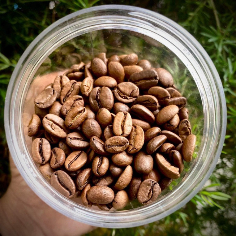 Đặc Sản Đà Lạt Cafe thuận tự nhiên. 200g hạt coffe arabica ( typica ...