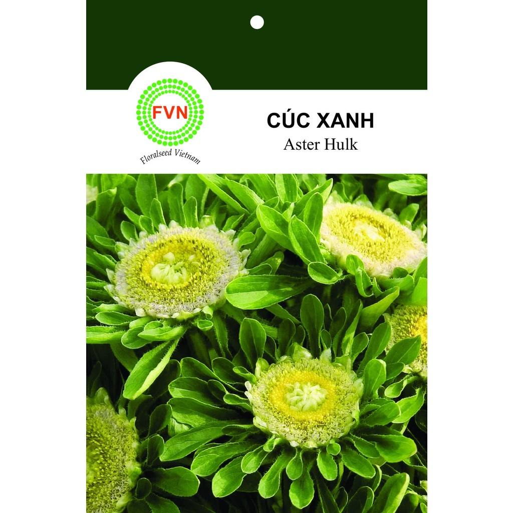 HẠT GIỐNG HOA CÚC XANH FVN GÓI 15 HẠT - ASTER HULK | Shopee Việt Nam
