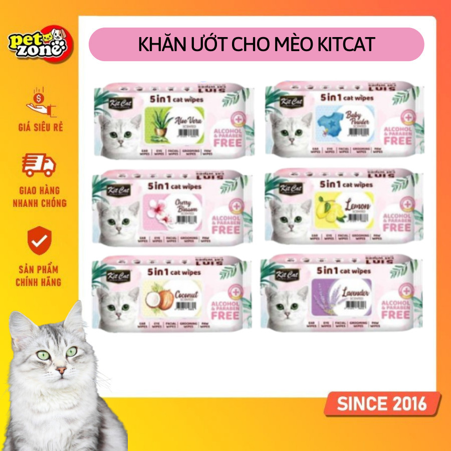 Khăn giấy ướt kháng khuẩn dành cho mèo Kit Cat - Khăn ướt dành cho thú ...