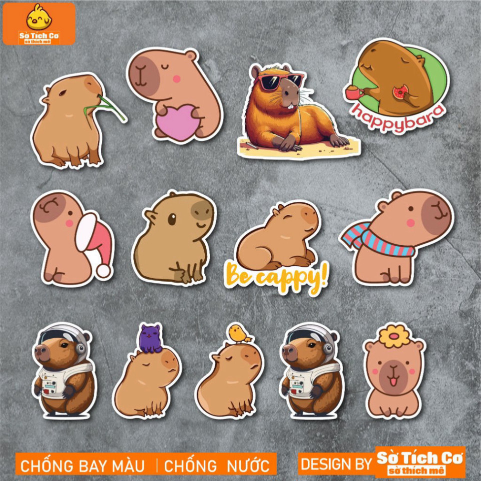 [Bộ 50 sticker] Capybara - Sticker hình dán trên mọi chất liệu MSP ...