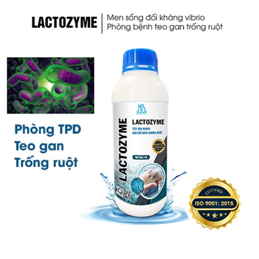LACTOZYME 1 Lít – Men Vi Sinh Đối Kháng Vibrio, Bảo Vệ Gan Ruột, Cải ...