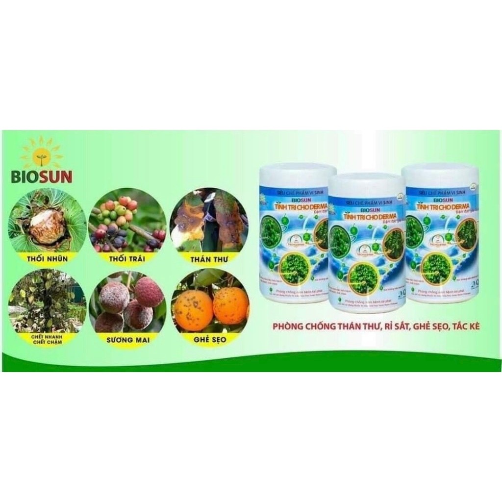 Chế phẩm vi sinh nấm Trichoderma đối kháng, men vi sinh nấm Trichoderma Biosun giúp cây xanh tốt ...