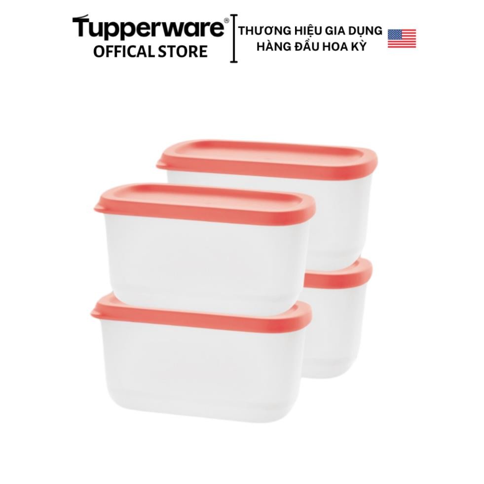 Bộ hộp Tupperware Mini Cubix Rectangular 250ml (4 hộp) - Hàng chính ...