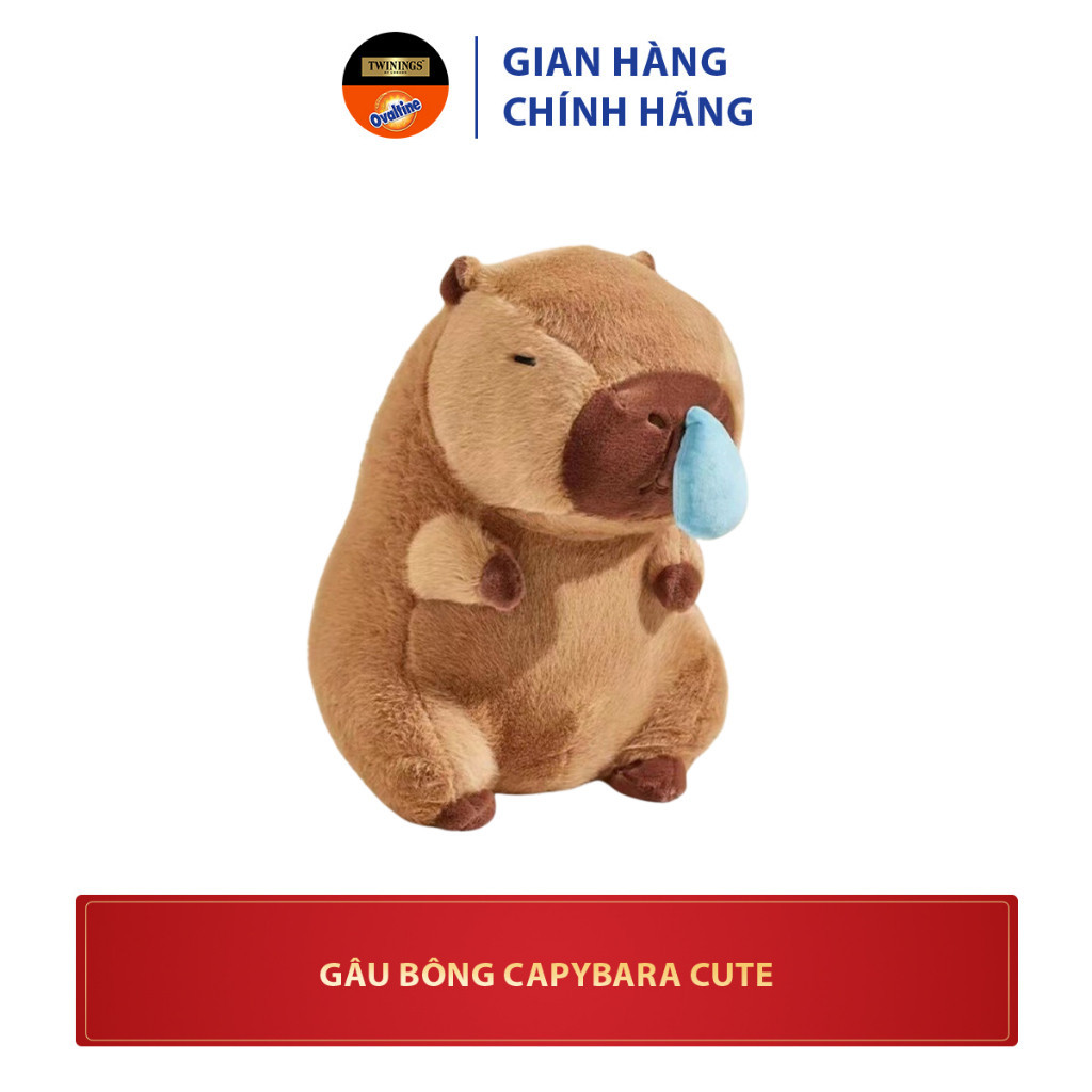 Gâu bông CapyBara cute | Shopee Việt Nam