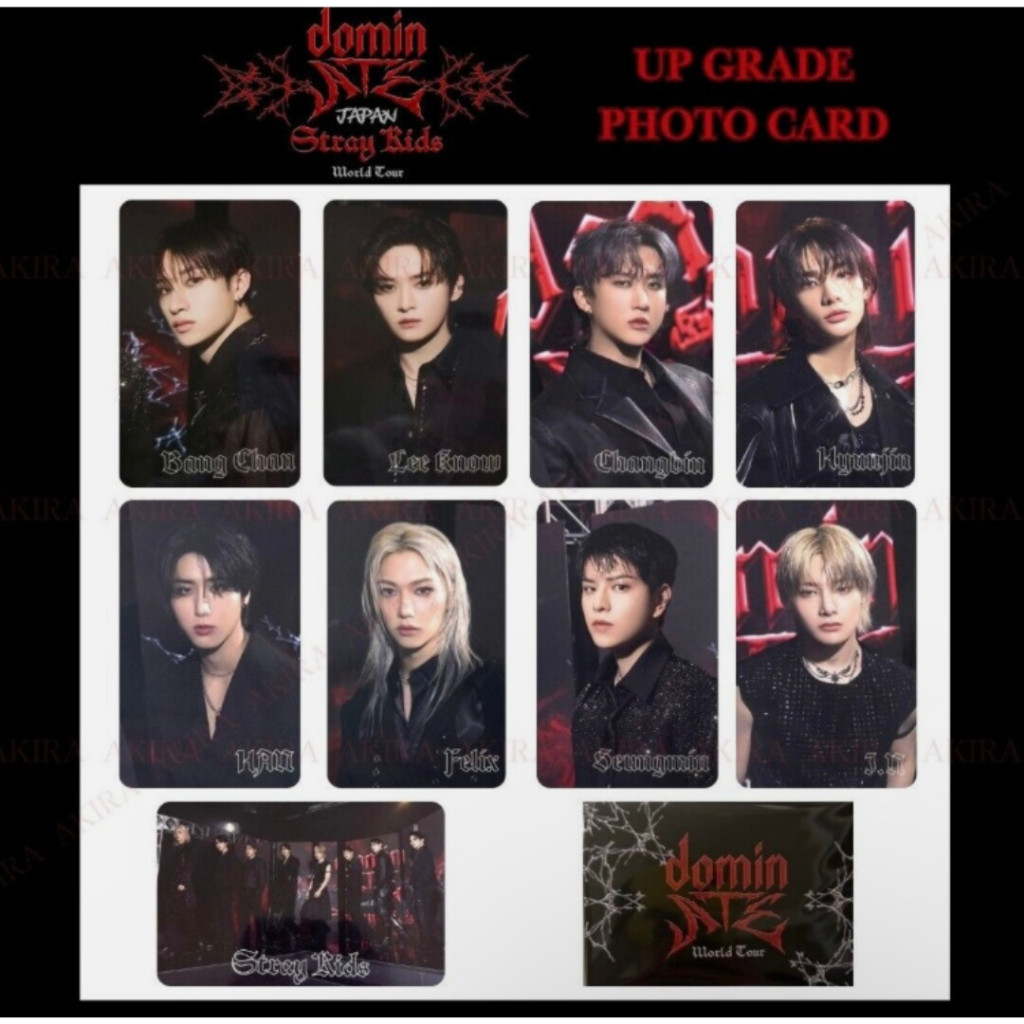 STRAY KIDS WORLD TOUR dominATE JAPAN dominATE SHEET 樂 UPGRADE OFFICIAL ...