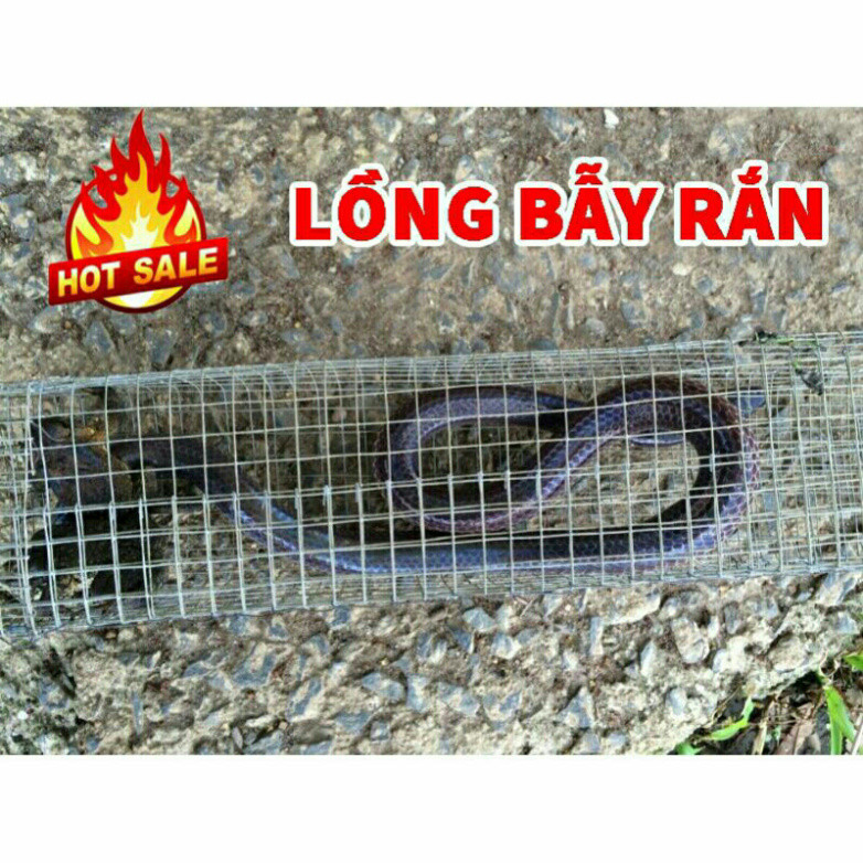 Lồng bẫy rắn sz 80cm x 15cm giá rẻ gaubnc999 | Shopee Việt Nam