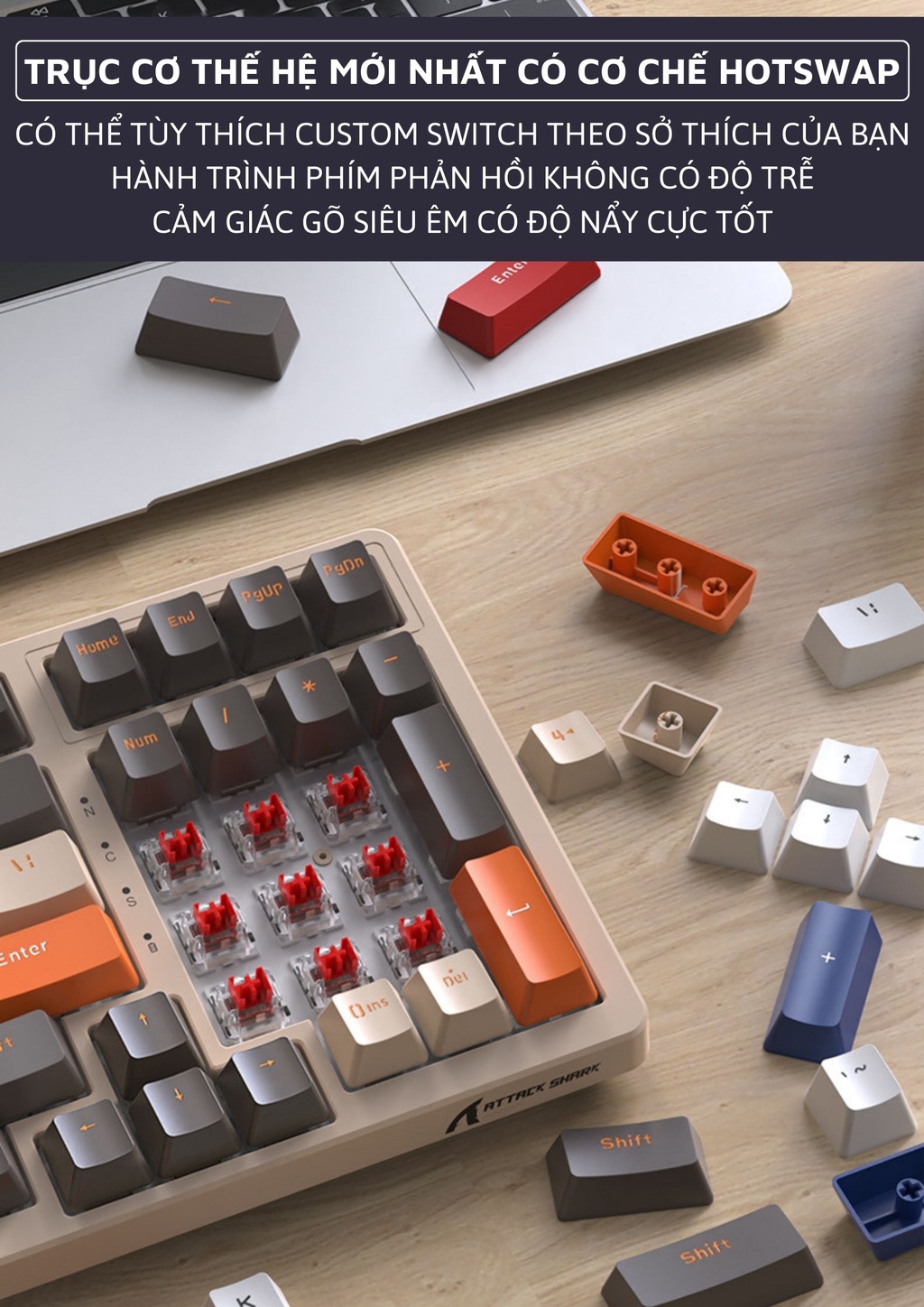 Bàn Phím Cơ Bluetooth Không Dây Full Size K98BT LED RGB VIP Gaming Shark Có HOTSWAP LÓT FOAM ...