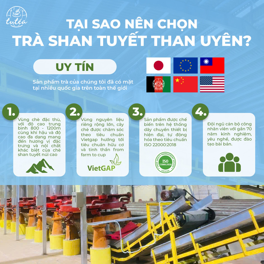 Trà Xanh Shan Tuyết Hoàng Liên Valley 300g | Chè Shan Tây Bắc Hữu Cơ ...